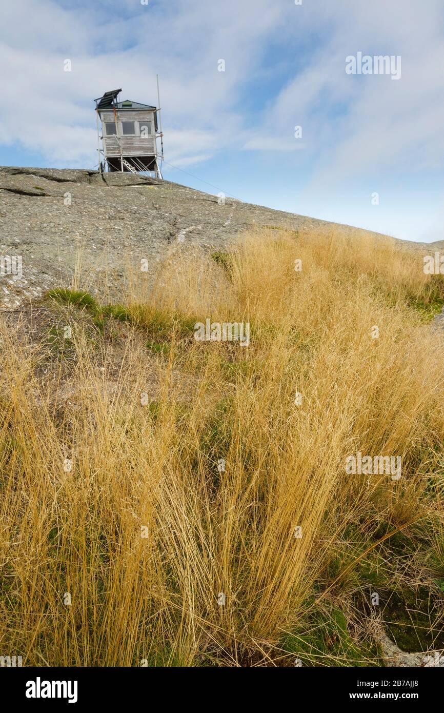Mount Cardigan State Park - Cardigan Mountain Tower on the summit of ...