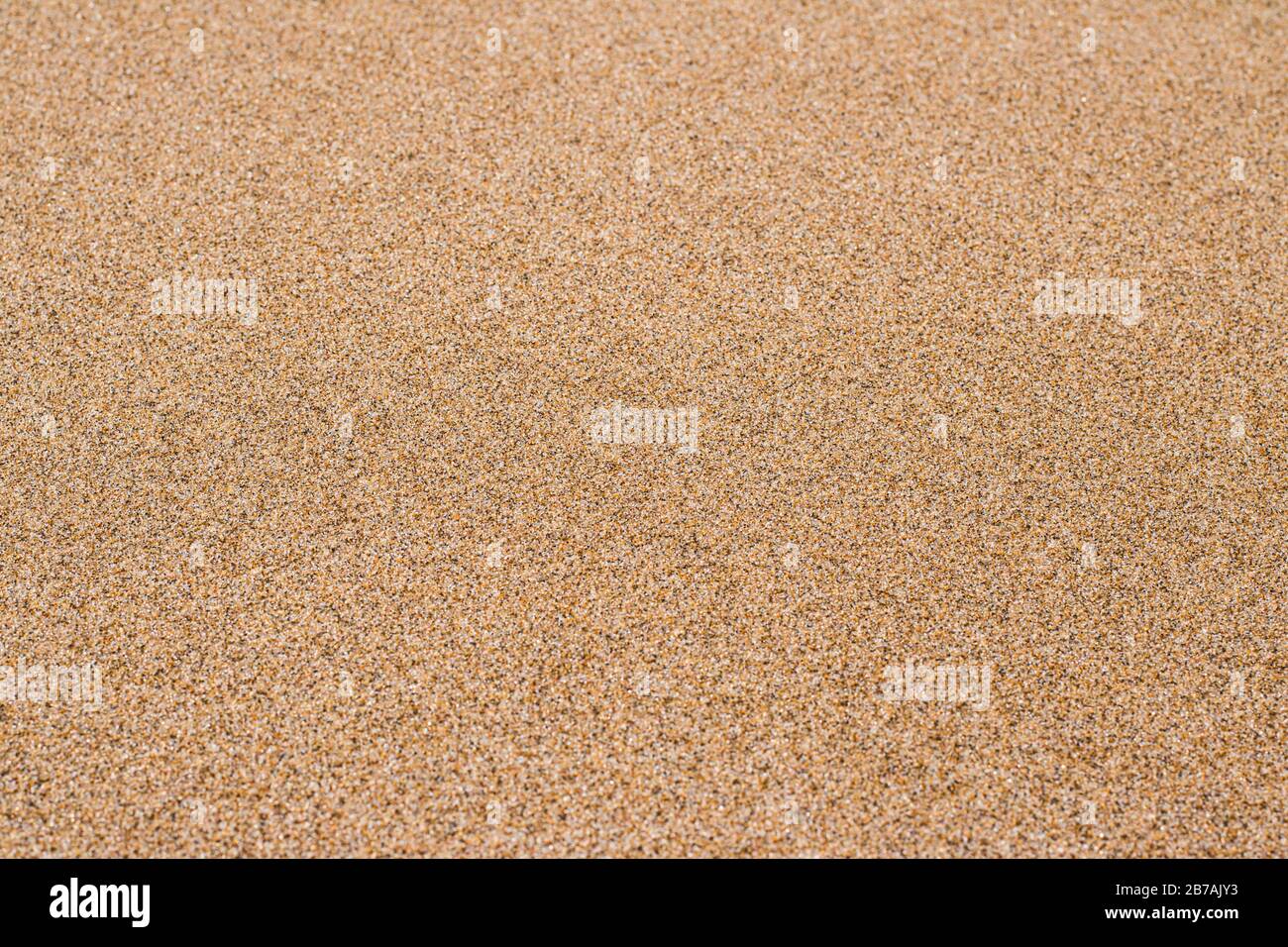 Sand on the beach in summer, texture close-up as background Stock Photo ...