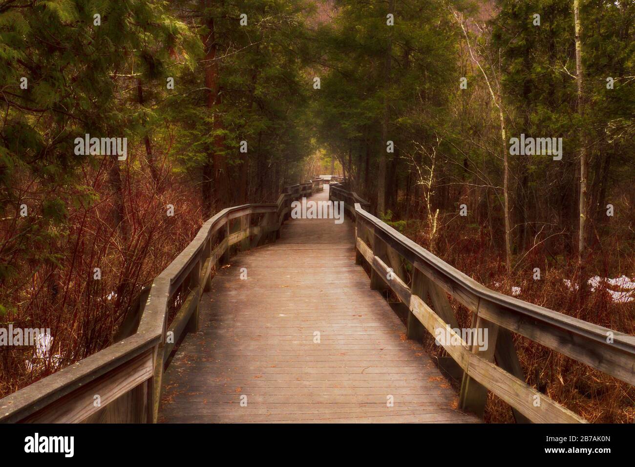 Wooden elevated walkway at Labrador Hollow Unique Area in upstate New ...