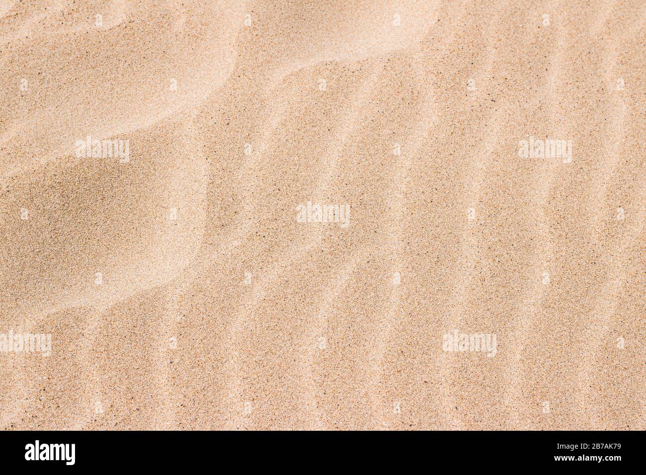 Sand on the beach in summer, texture close-up as background Stock Photo ...
