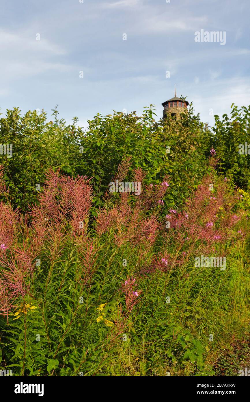 Weeks State Park - John Wingate Weeks Estate on the summit of Mt ...