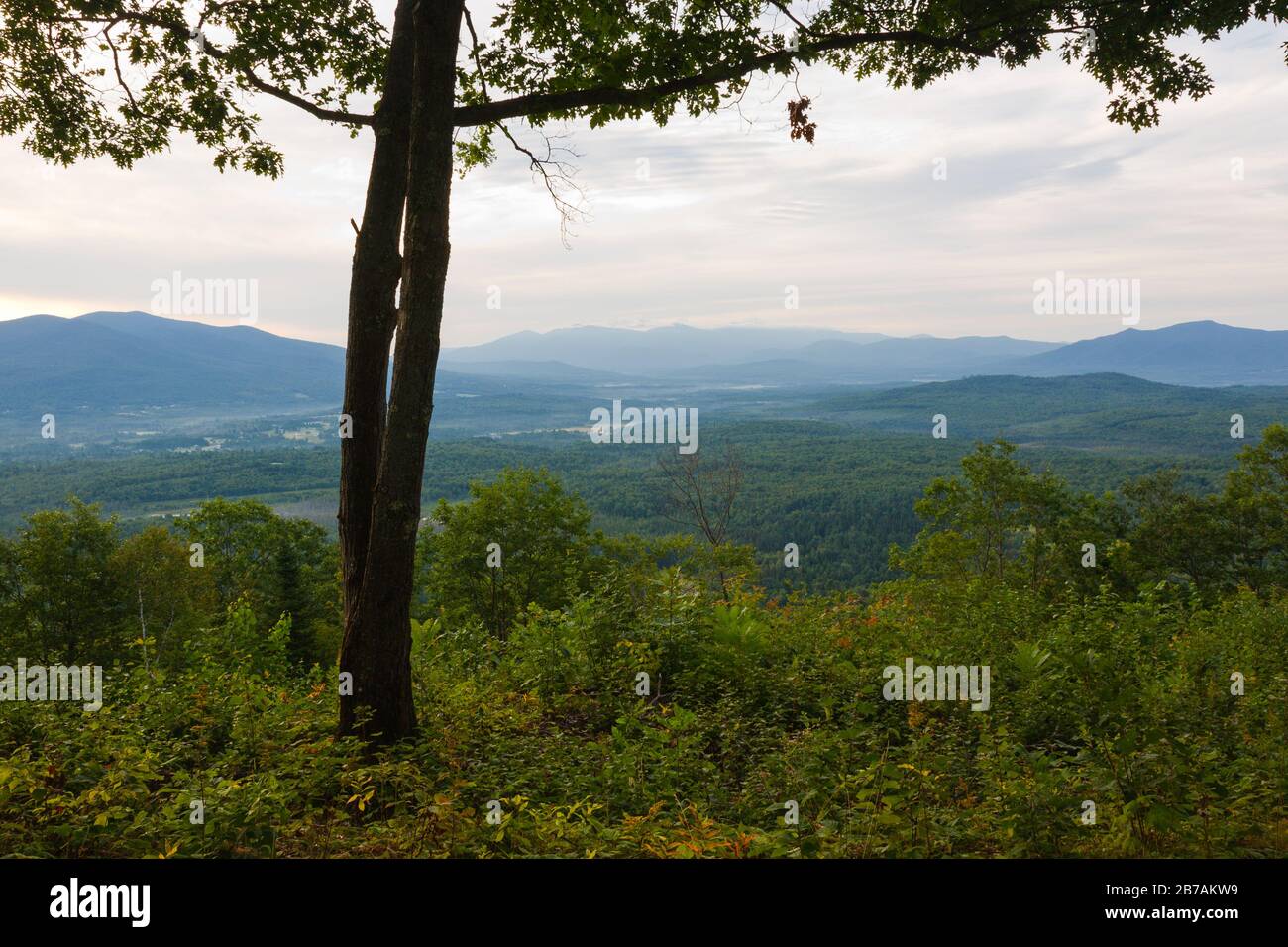 Prospects park hi-res stock photography and images - Alamy