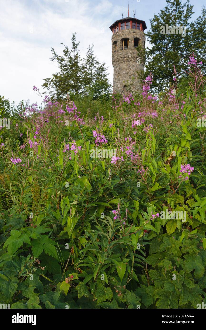 Weeks State Park - John Wingate Weeks Estate on the summit of Mt ...