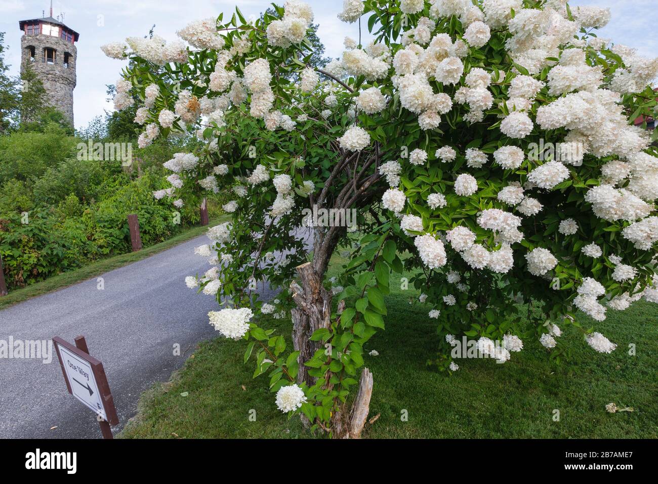 Weeks State Park - John Wingate Weeks Estate on the summit of Mt ...