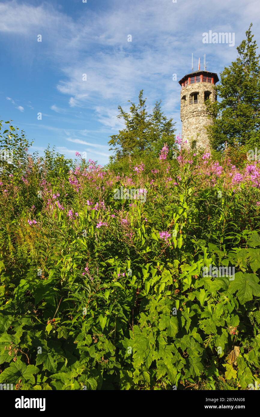 Weeks State Park - John Wingate Weeks Estate on the summit of Mt ...