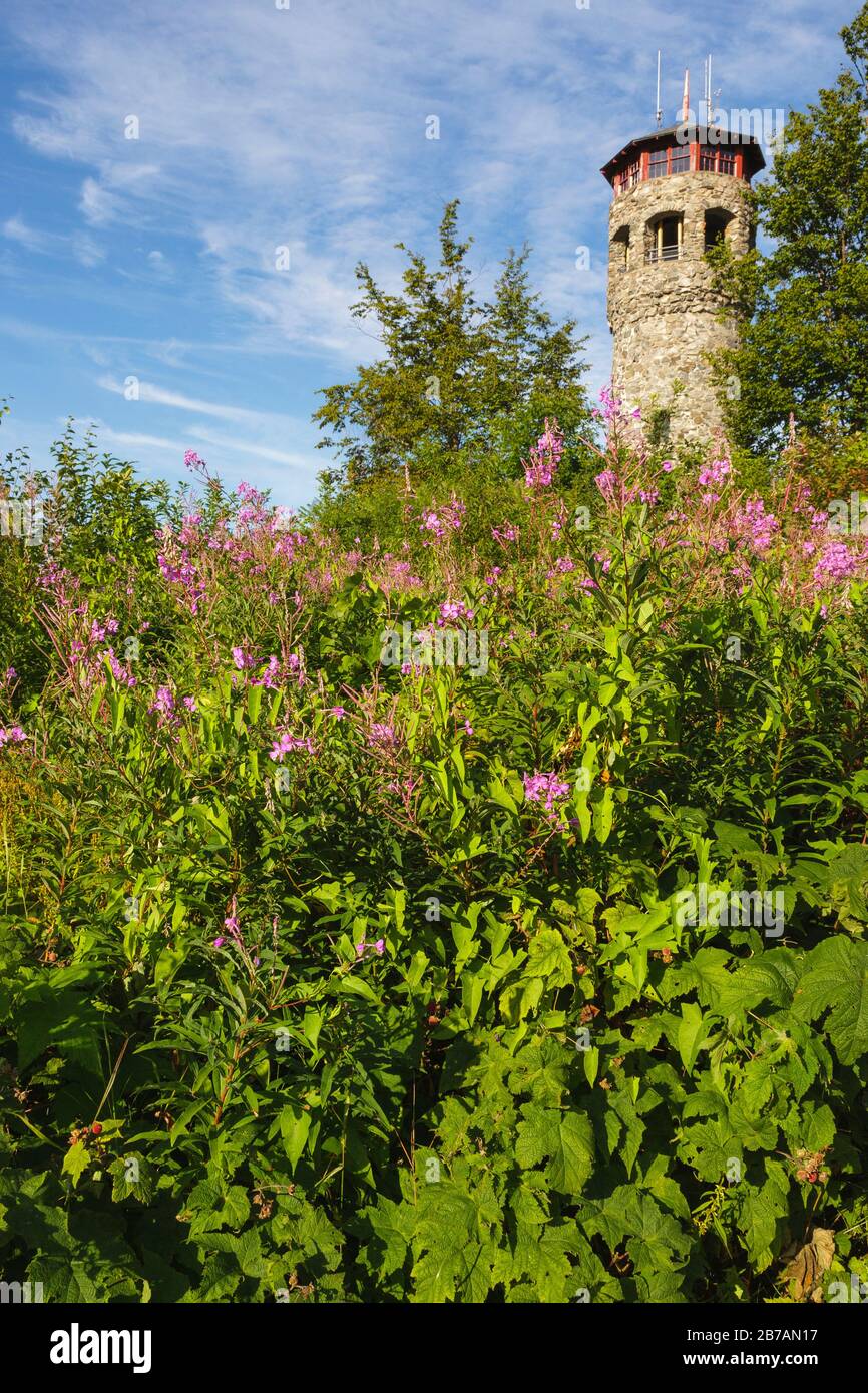 Weeks State Park - John Wingate Weeks Estate on the summit of Mt ...