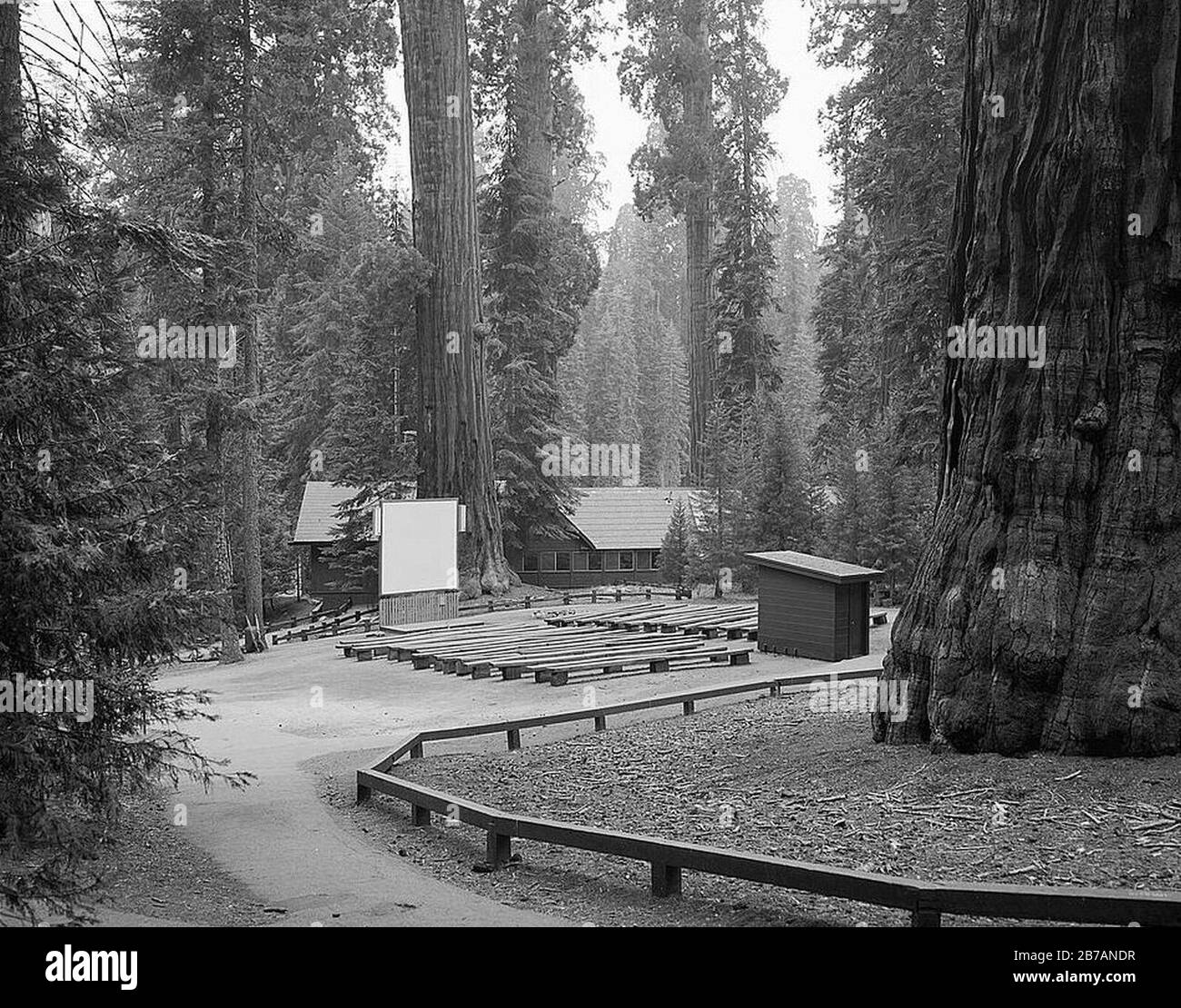 Giant Forest Amphitheater Stock Photo - Alamy
