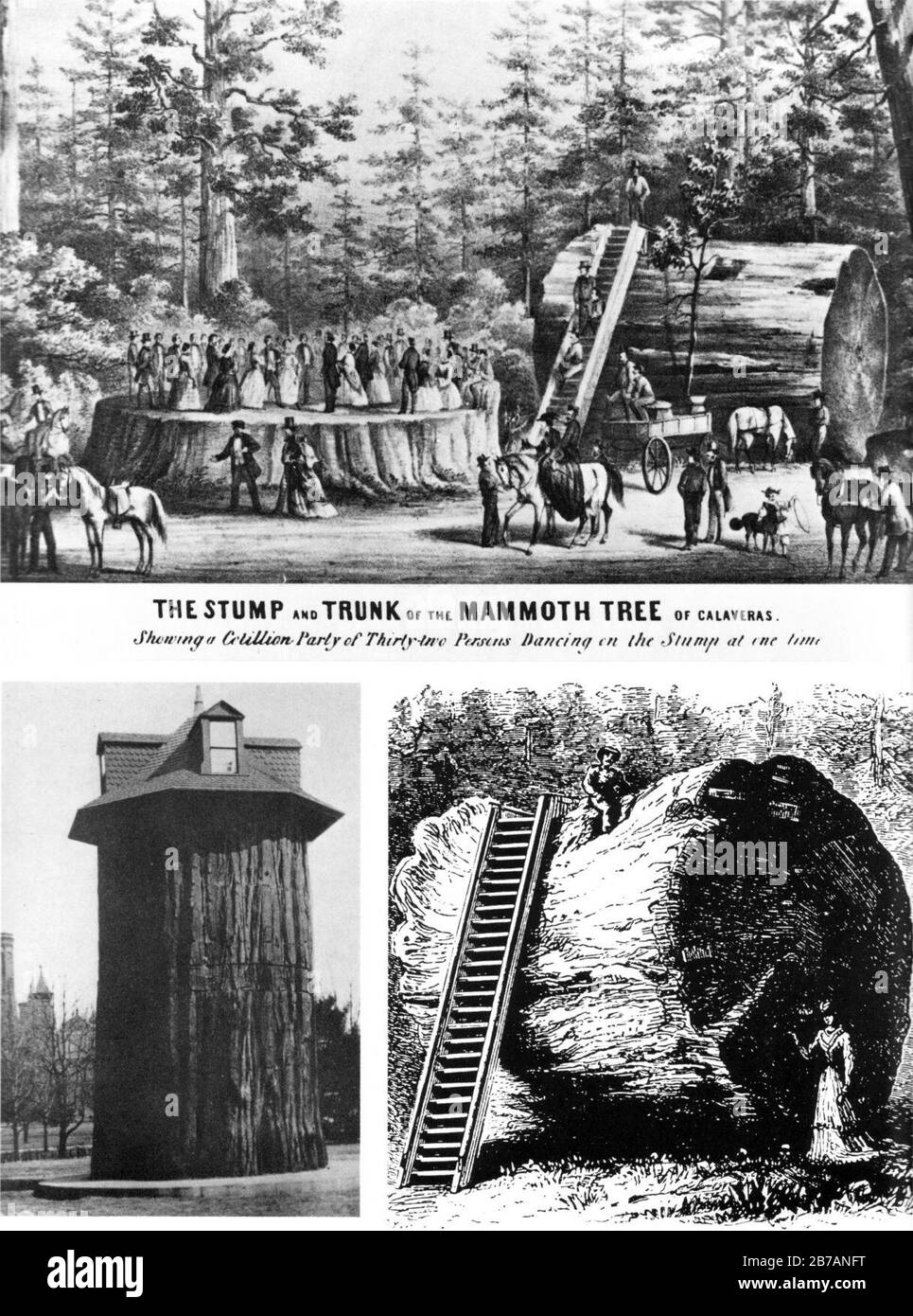 Exhibitionism Black and White Stock Photos & Images - Alamy