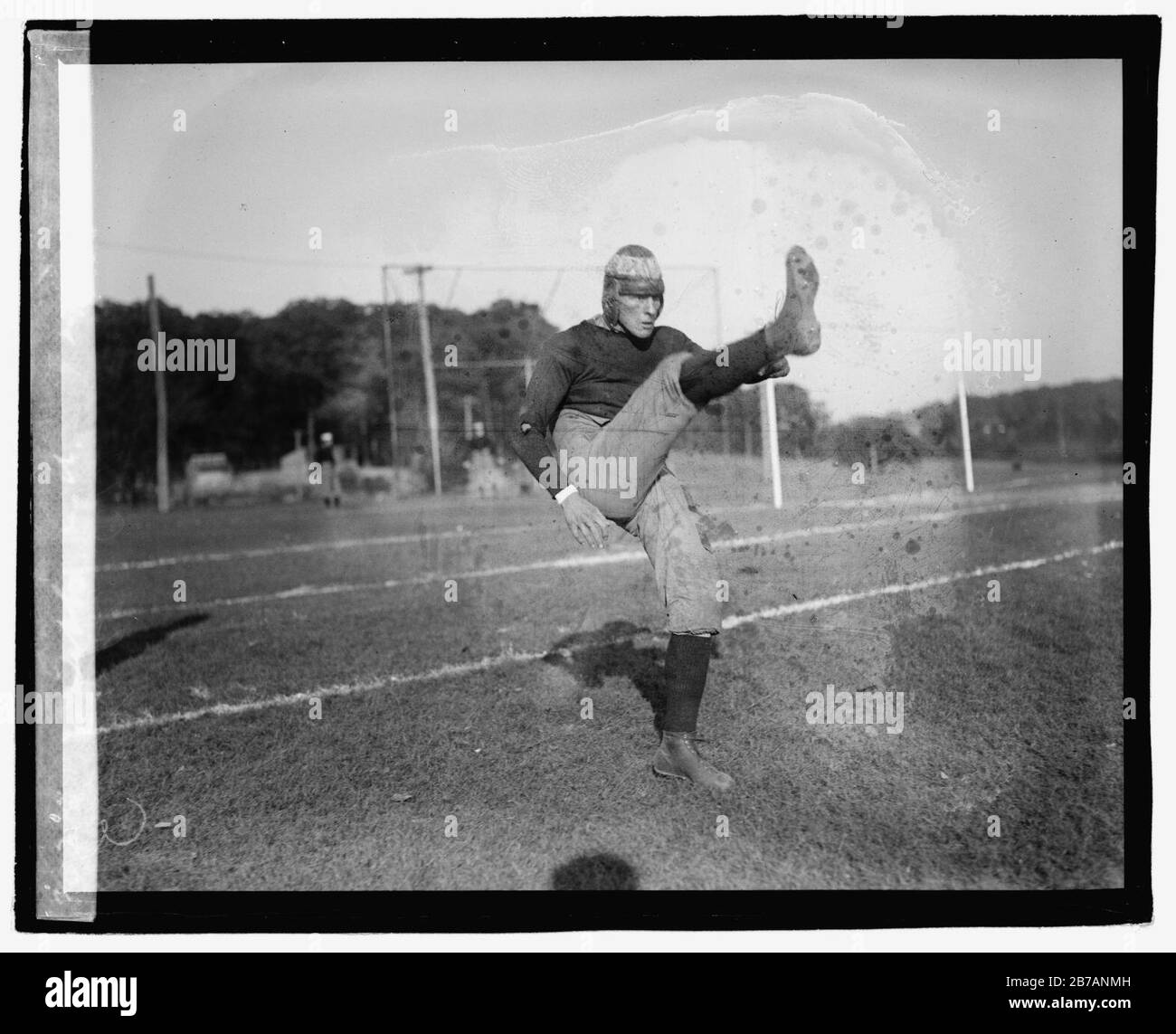 Gibbs Cut Out Stock Images & Pictures - Alamy