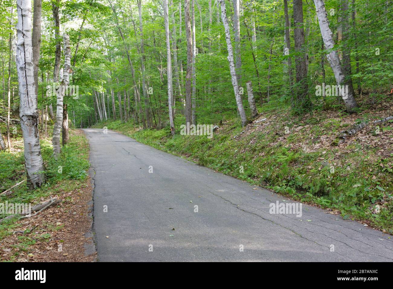 Weeks State Park - John Wingate Weeks Estate on the summit of Mt ...