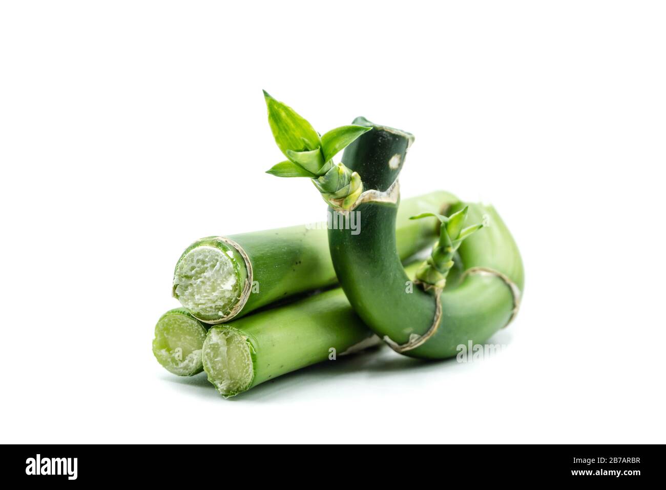 Bamboo isolated on white background Stock Photo - Alamy