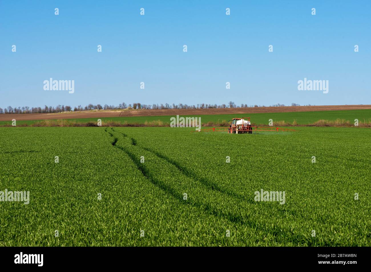 Tractor spraying pesticide in a field of wheat - copy space Stock Photo ...