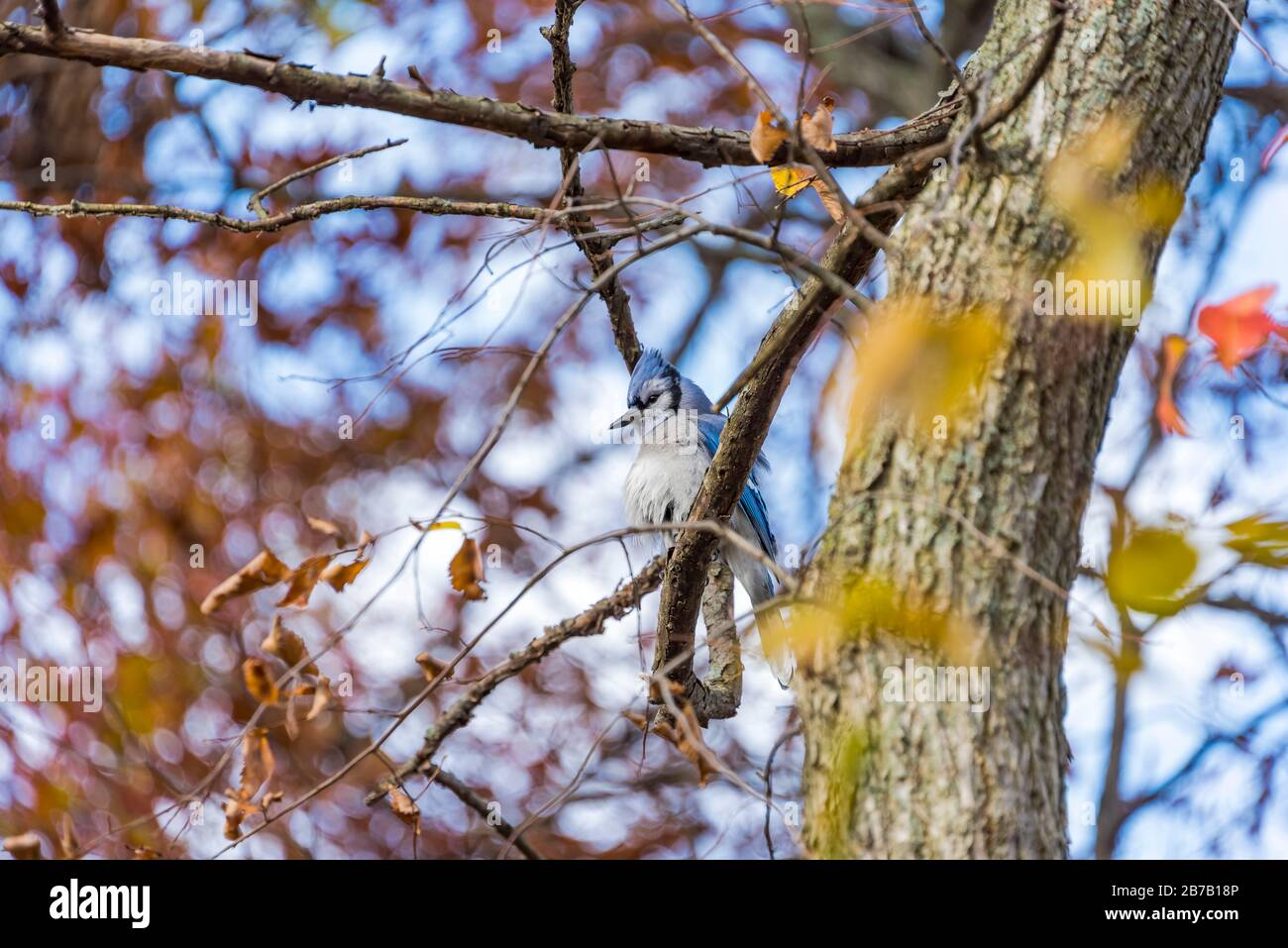 Sheldon marsh ohio hi-res stock photography and images - Alamy