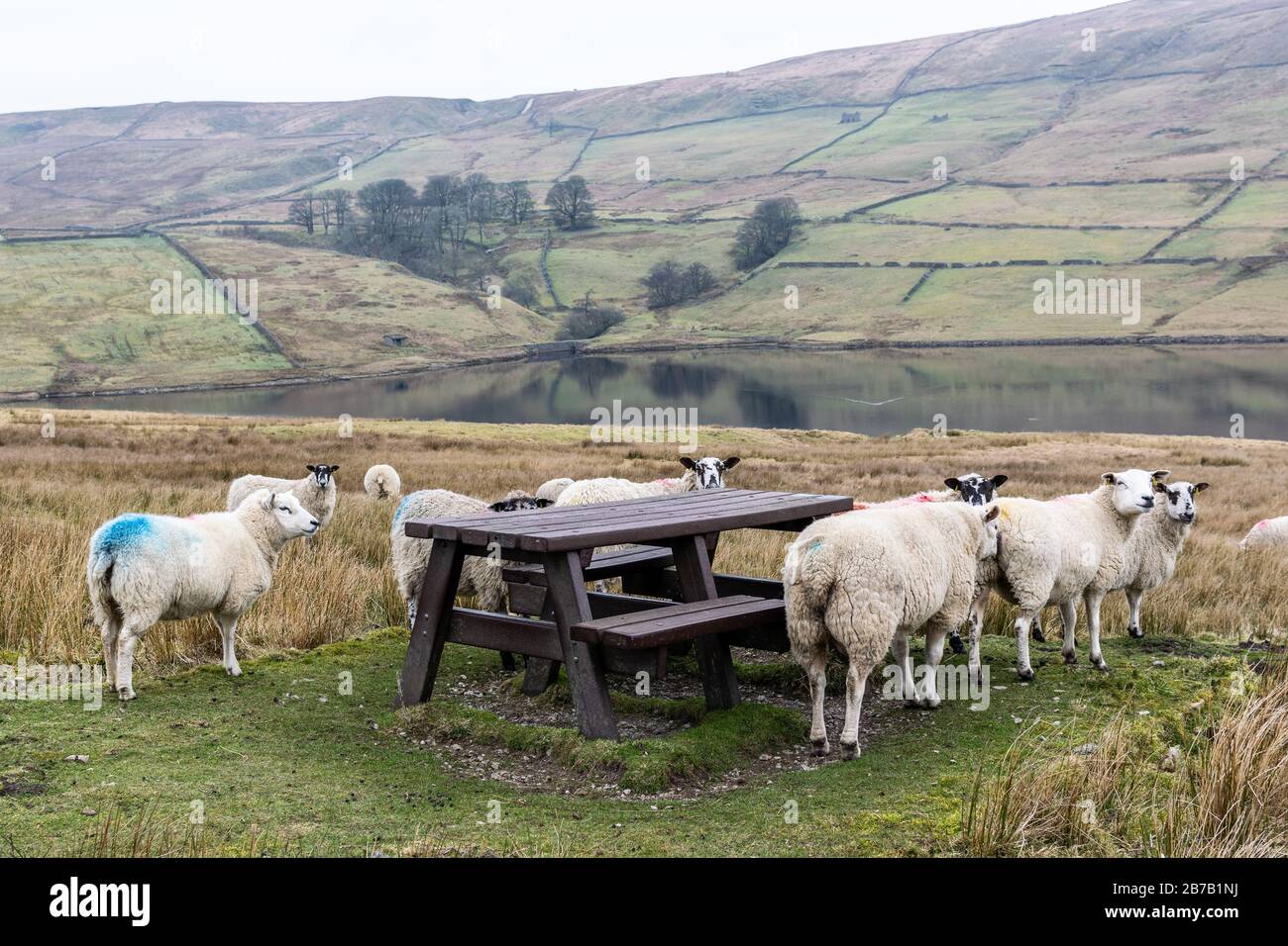 Gathered around table hi-res stock photography and images - Alamy
