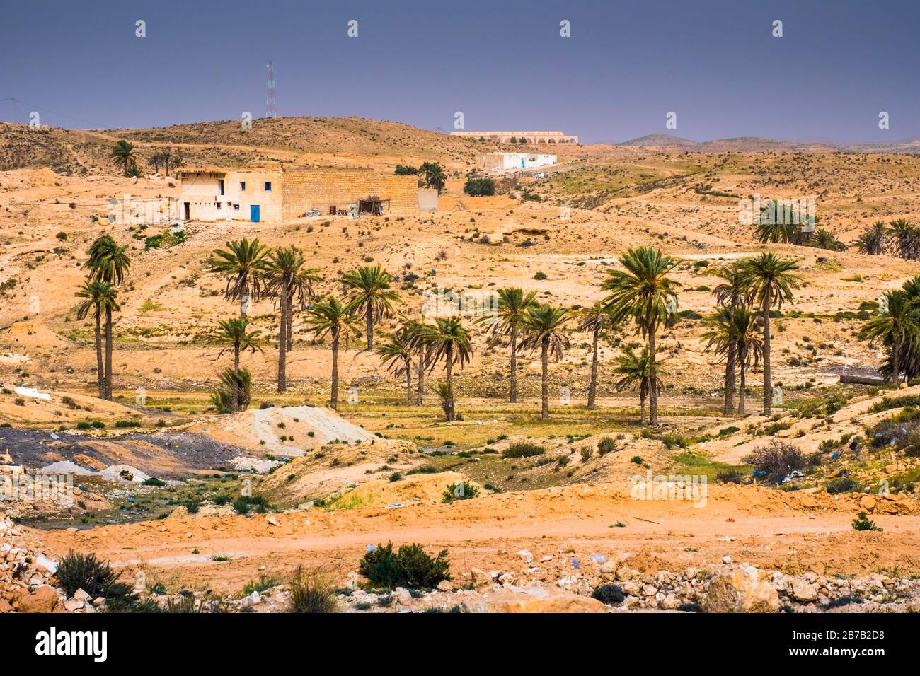 Desert village with palm trees hi-res stock photography and images - Alamy
