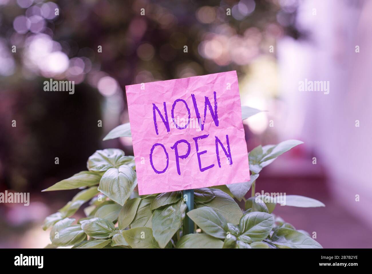 Conceptual hand writing showing Now Open. Concept meaning leave door or ...