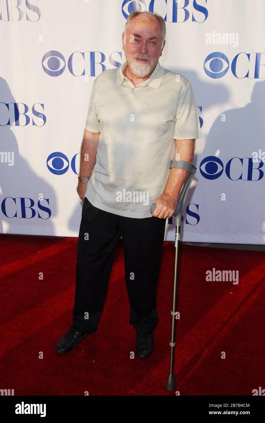 Robert David Hall at the CBS 2006 TCA Summer Press Tour Stars Party ...