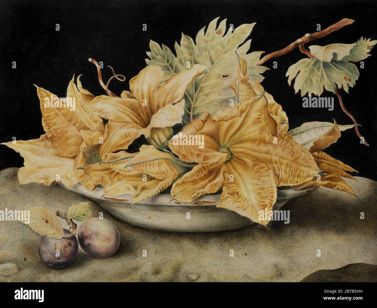 Giovanna garzoni 01 Stock Photo - Alamy