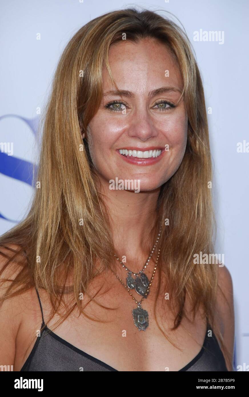 Diane Farr at the CBS 2006 TCA Summer Press Tour Stars Party held at ...
