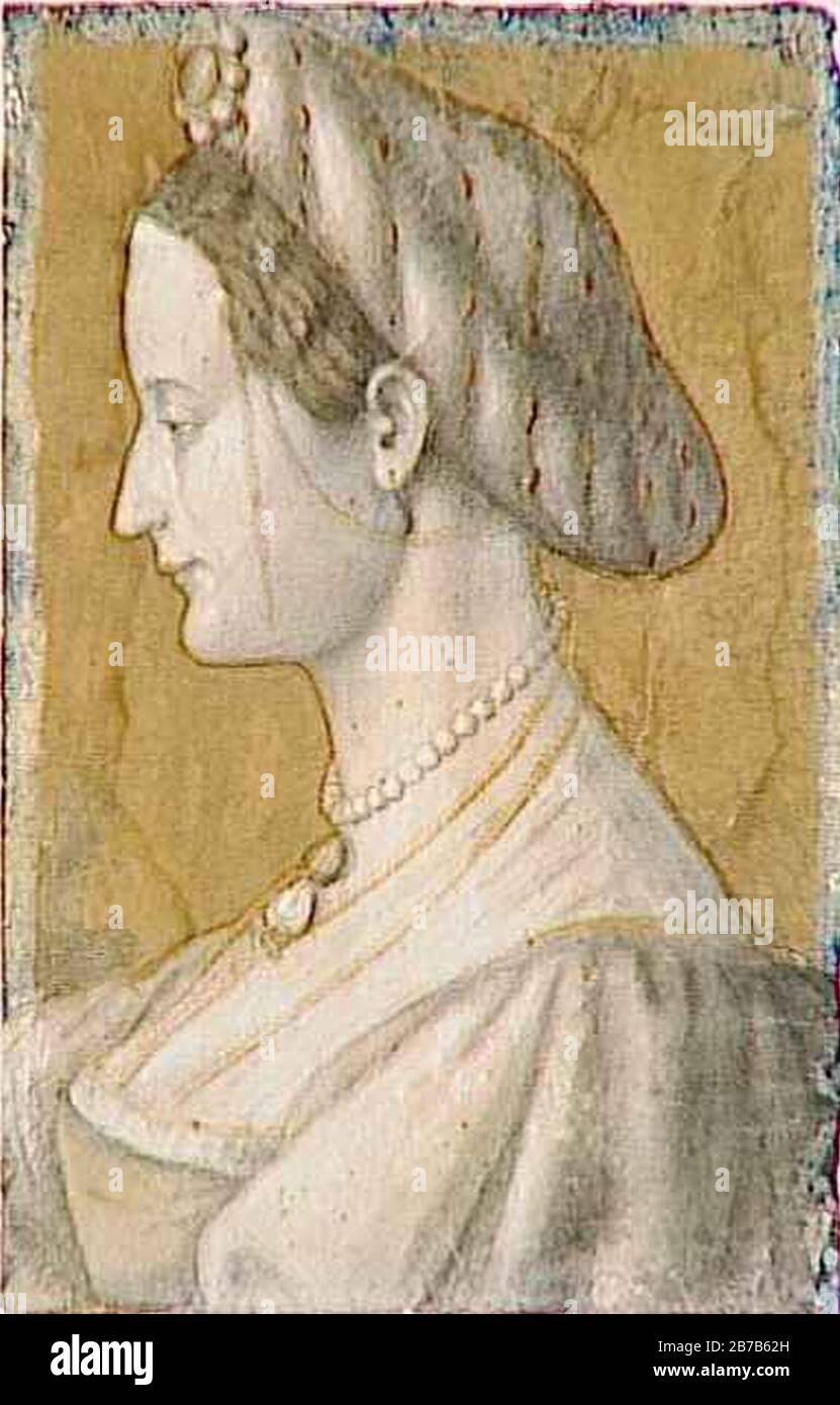 Giovanni Antonio Boltraffio 011 Stock Photo - Alamy