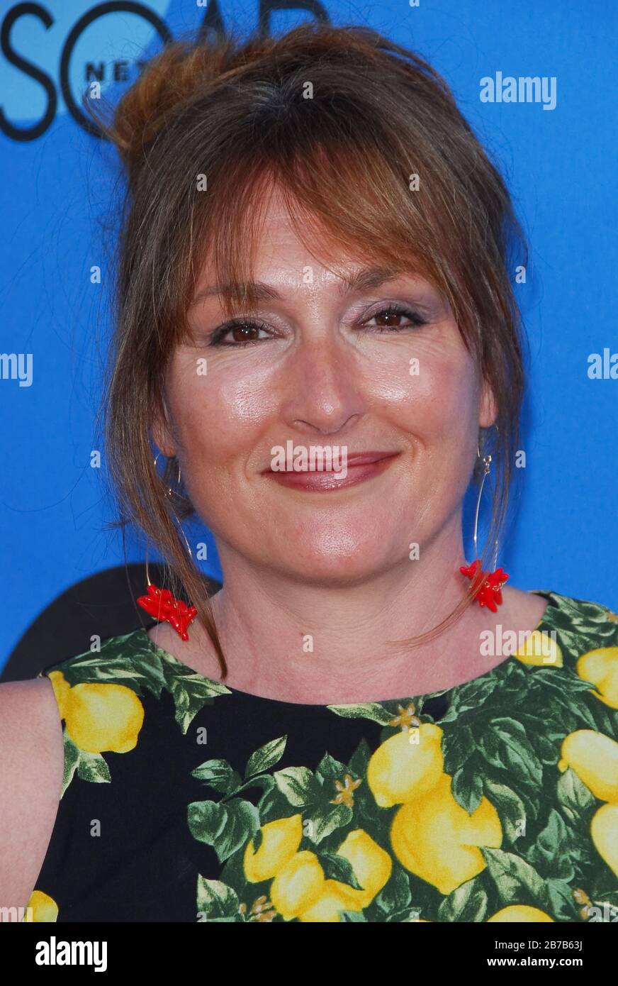 Nora Dunn at the Disney ABC Television Group All Star Party held at the ...