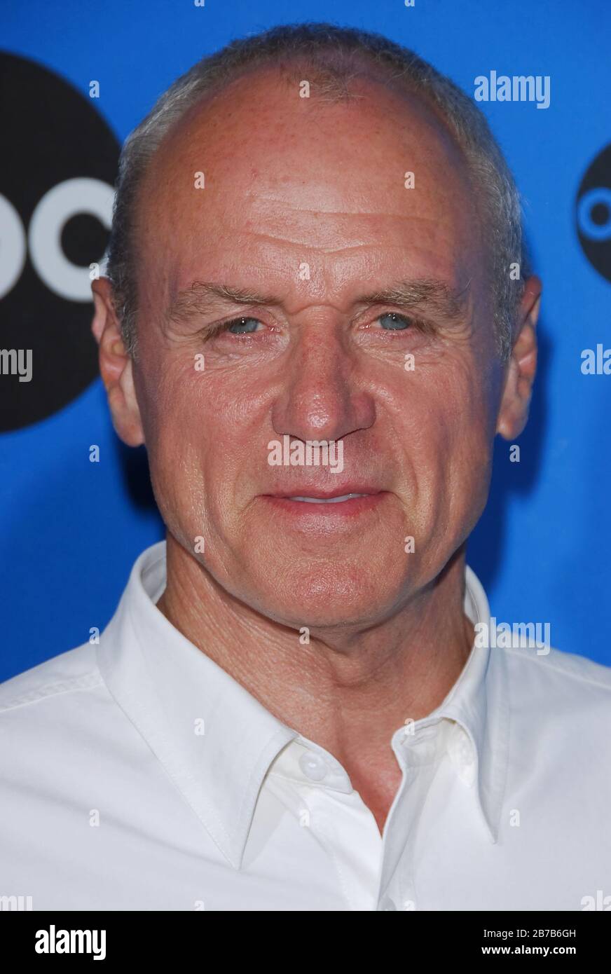 Alan Dale at the Disney ABC Television Group All Star Party held at the ...
