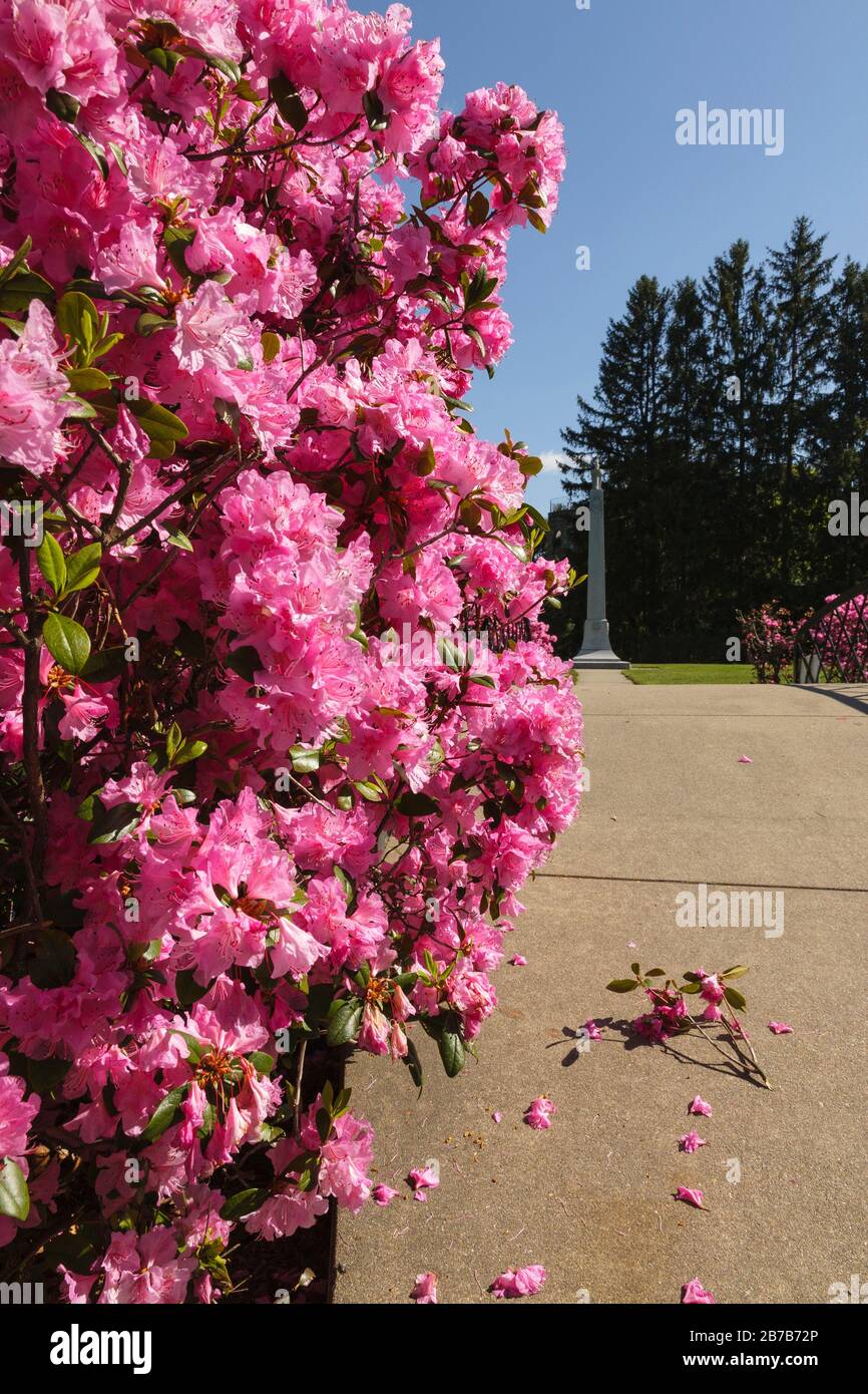 Atkinson Common (designed in 1893-1894) in Newburyport, Massachusetts ...