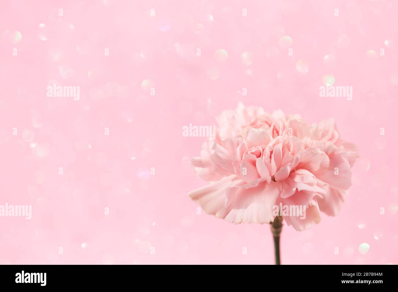 Soft card hi-res stock photography and images - Alamy