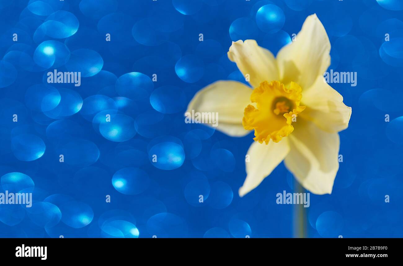 Soft card hi-res stock photography and images - Alamy