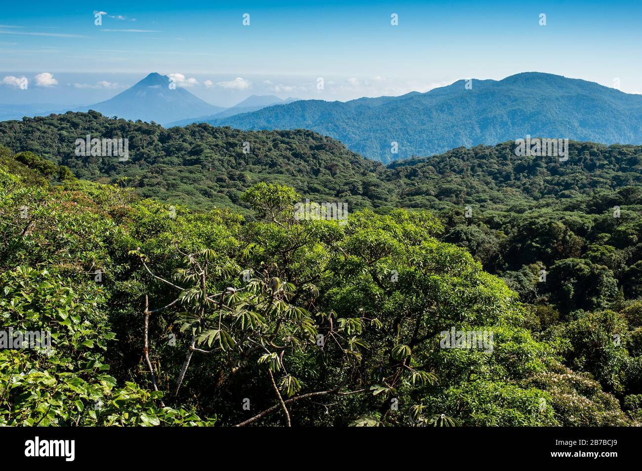Santa Elena Biological Reserve, Costa Rica, Centroamerica Stock Photo ...