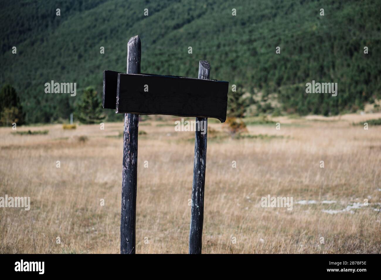 Old wooden sign in a nature park Stock Photo - Alamy
