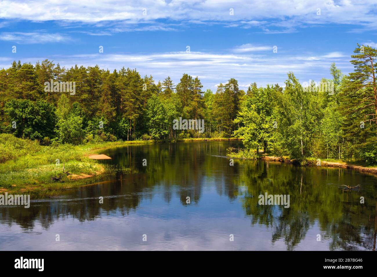Peaceful summer landscape green tree hi-res stock photography and ...