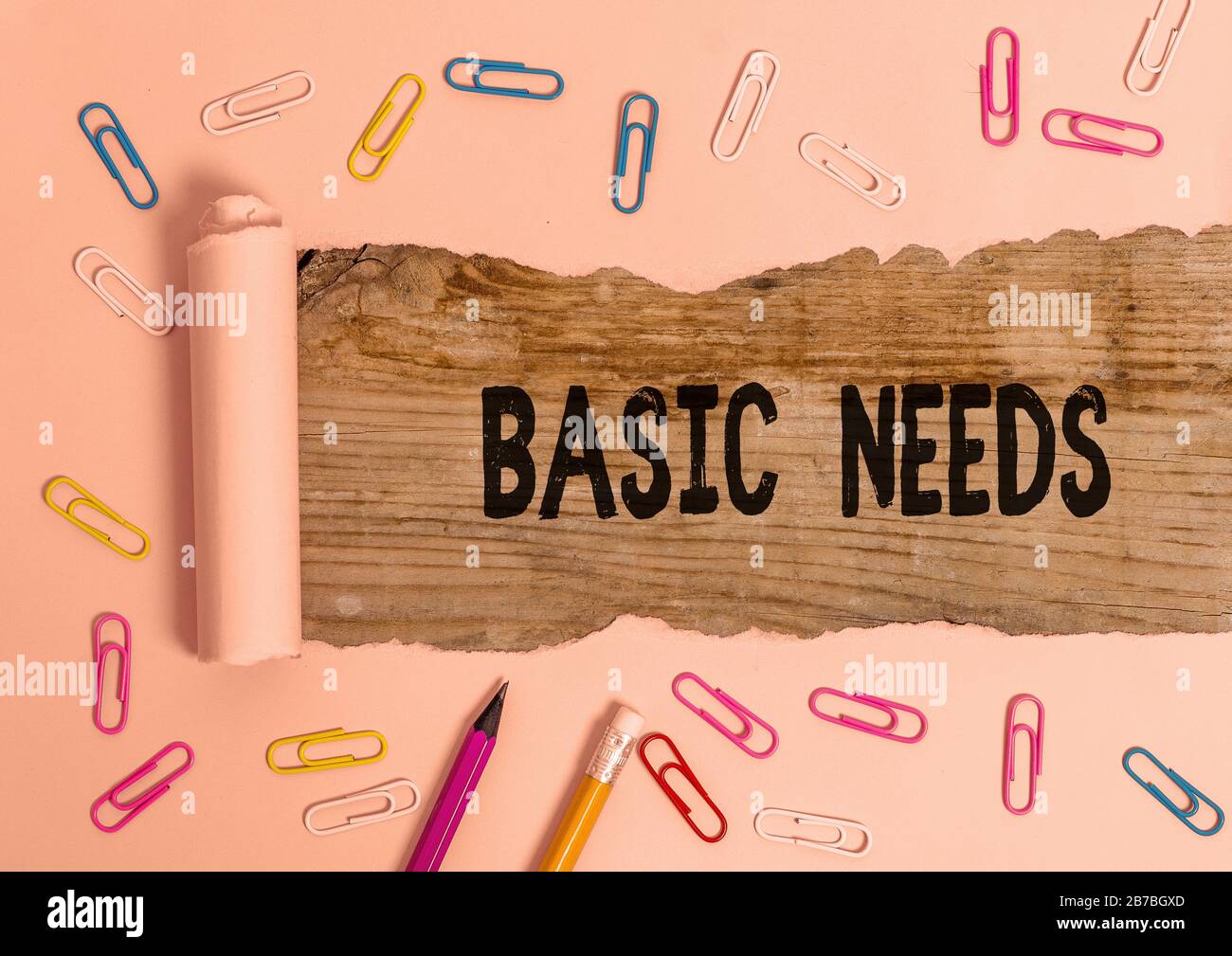 Basic Necessities Of Life