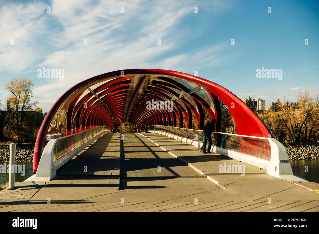 Peace Bridge Calgary Skyline Cityscape Architecture High Resolution ...