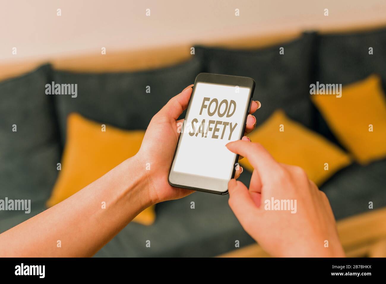 Word writing text Food Safety. Business photo showcasing conditions and ...
