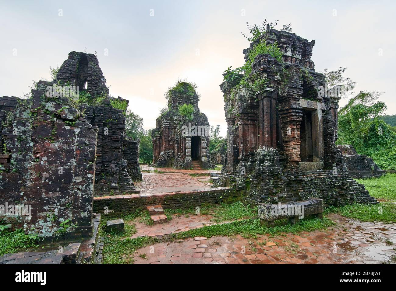 My Son World Heritage Site, My Son is a complex constructed by the ...