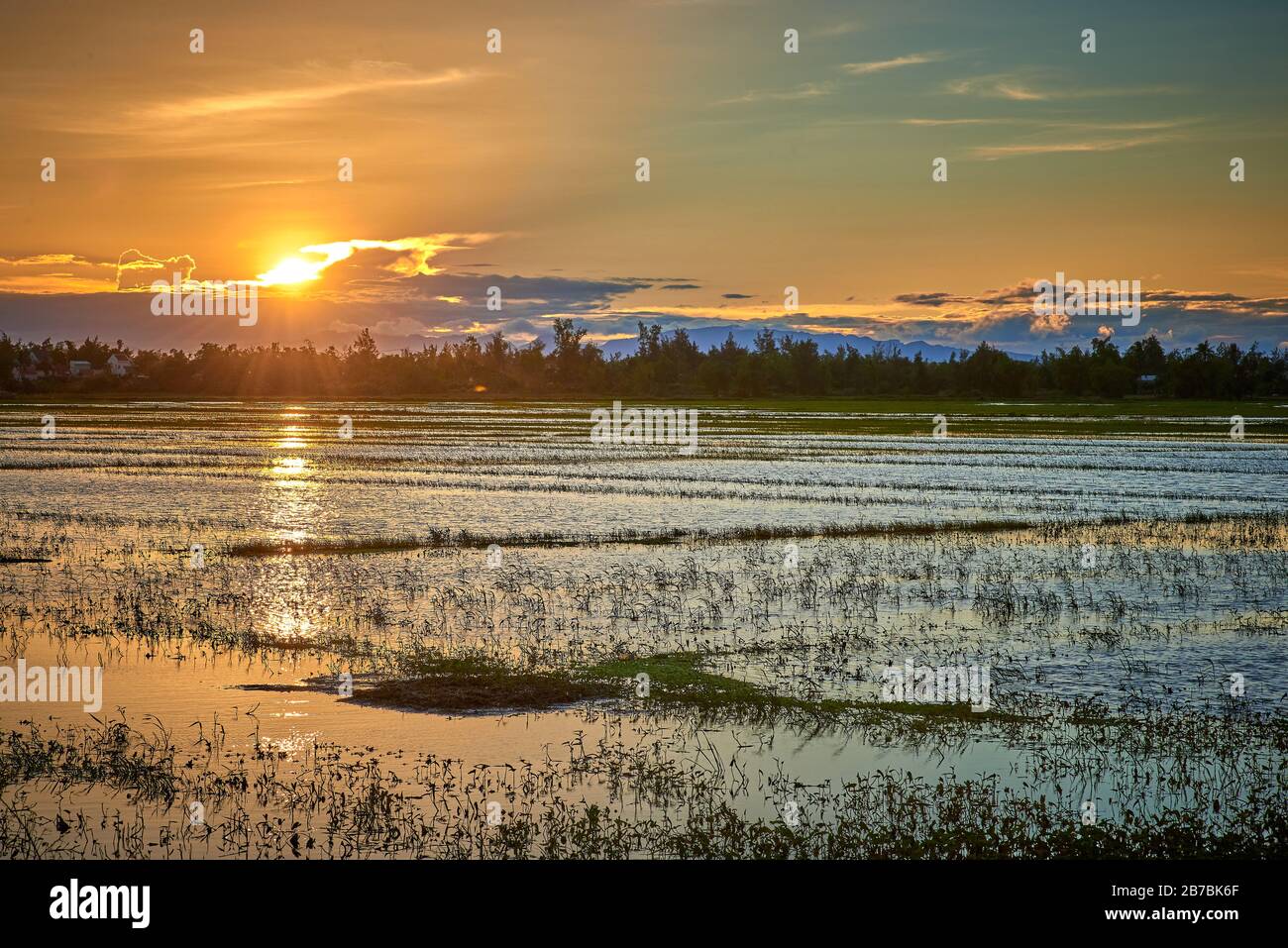 Hoi an rice fields hi-res stock photography and images - Alamy