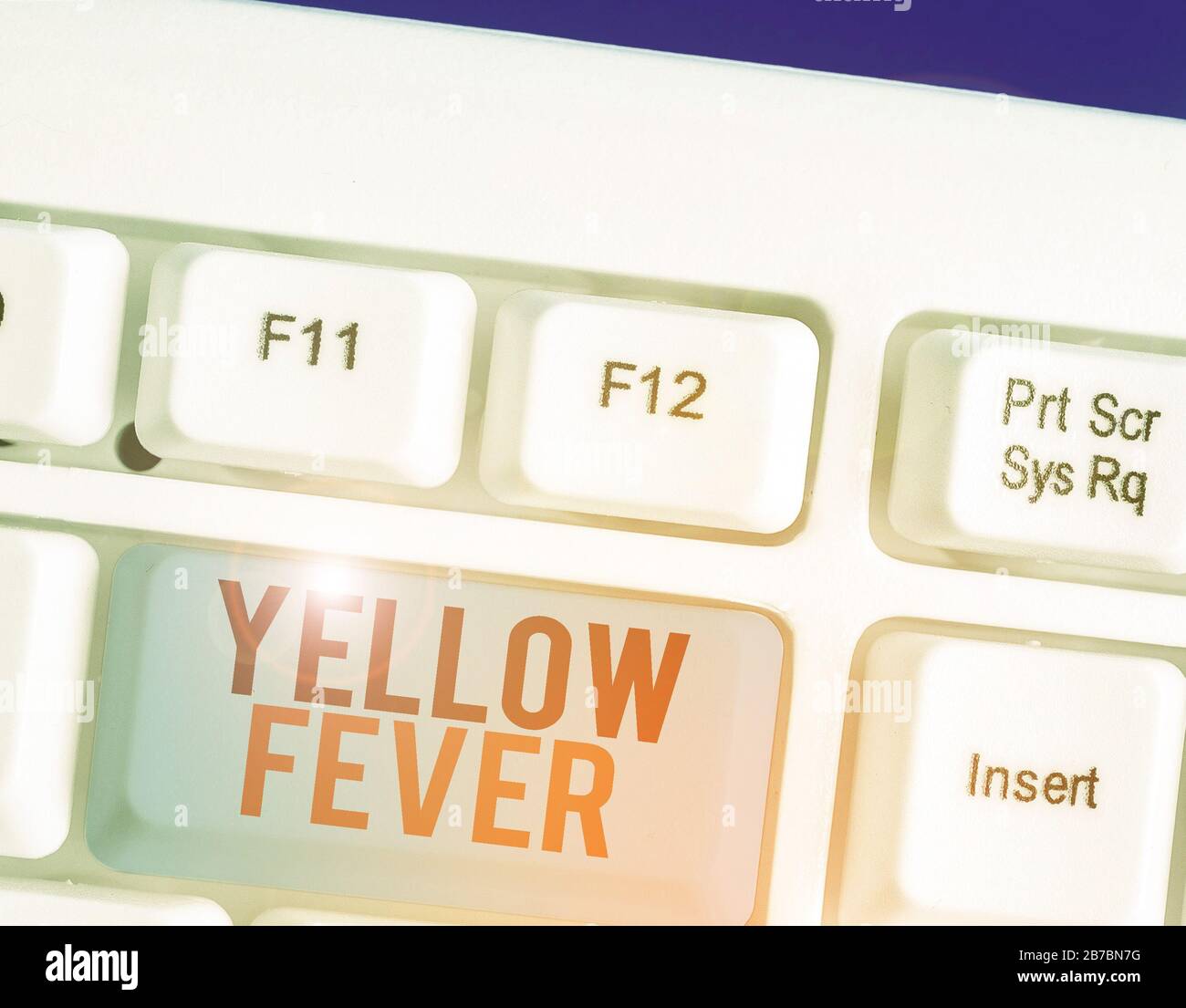 Handwriting text writing Yellow Fever. Conceptual photo tropical virus ...