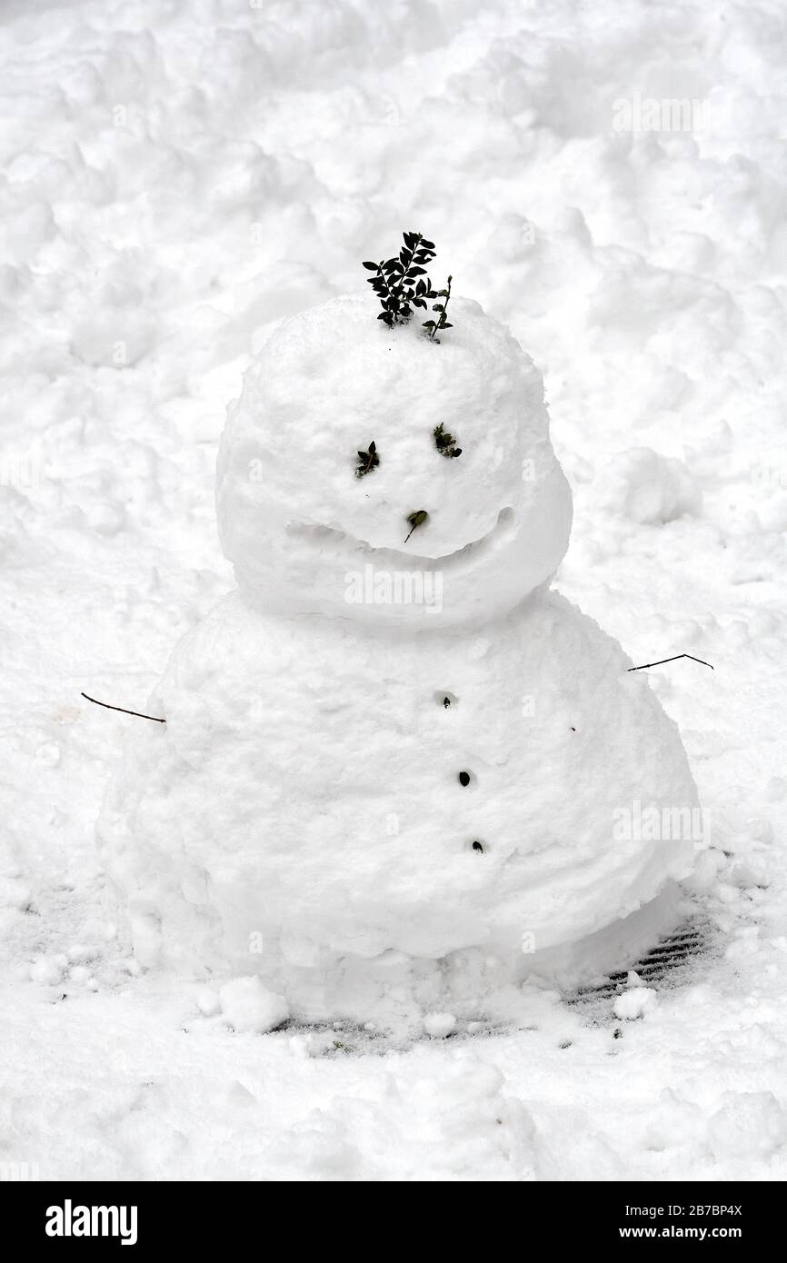 Real snowman with big smiling face and eyes and hair made from tree ...