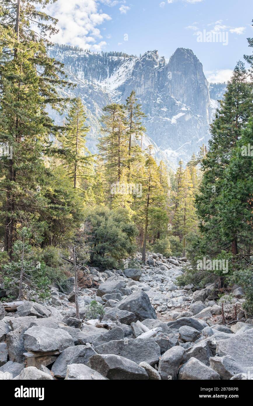 Yosemite National Park Valley, forest with colorful trees and ancient ...