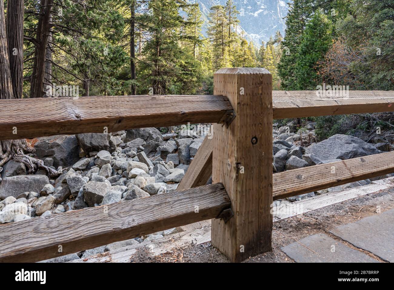 Yosemite National Park Valley, forest with colorful trees and ancient ...