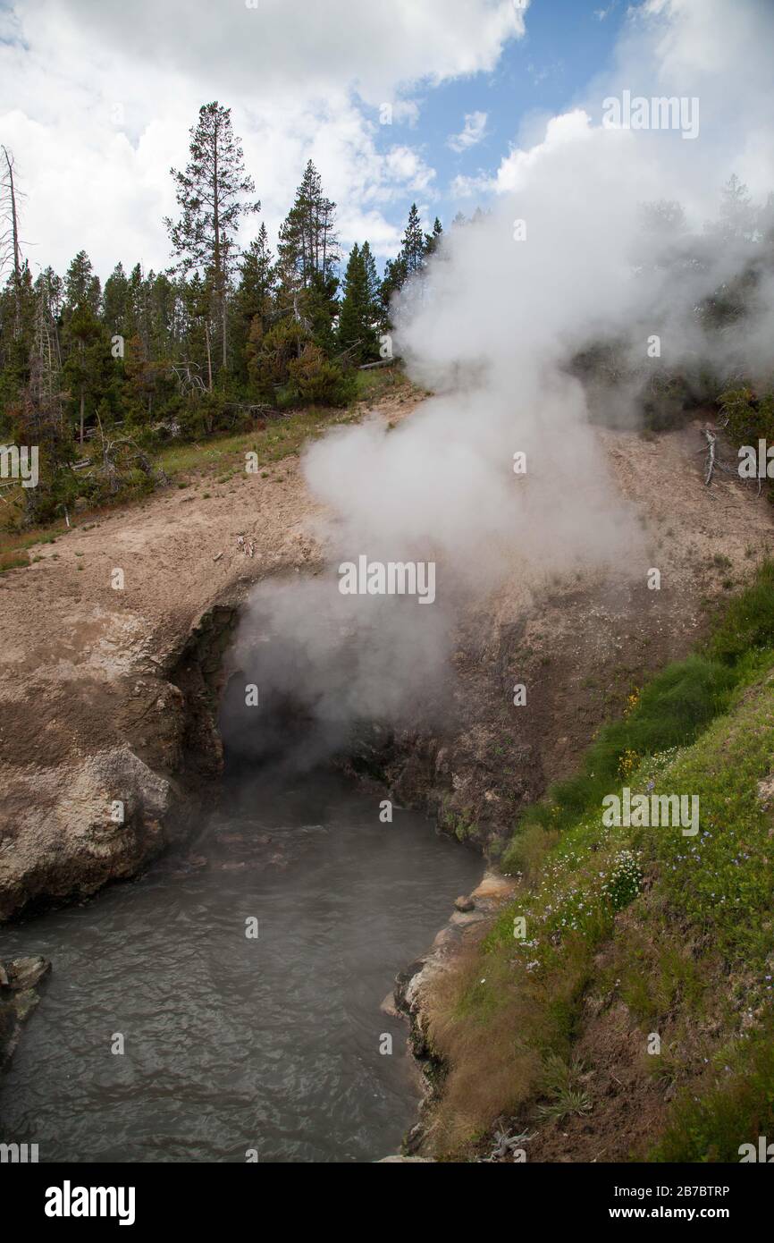 Protected by dragons hi-res stock photography and images - Alamy