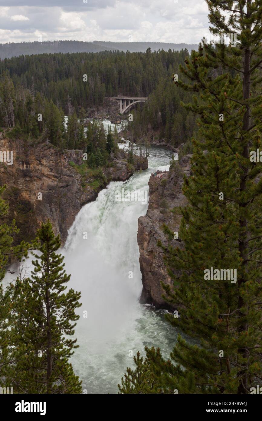 The Upper Falls of the Yellowstone River with unidentifiable tourist on ...