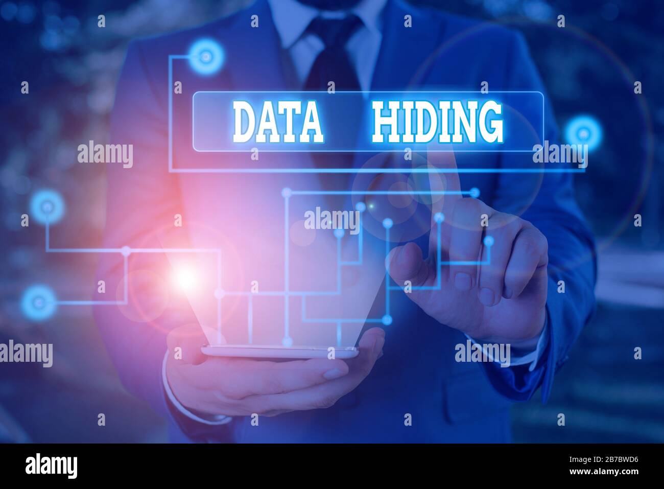 Text sign showing Data Hiding. Business photo showcasing Secretly embedding data in graphics ...