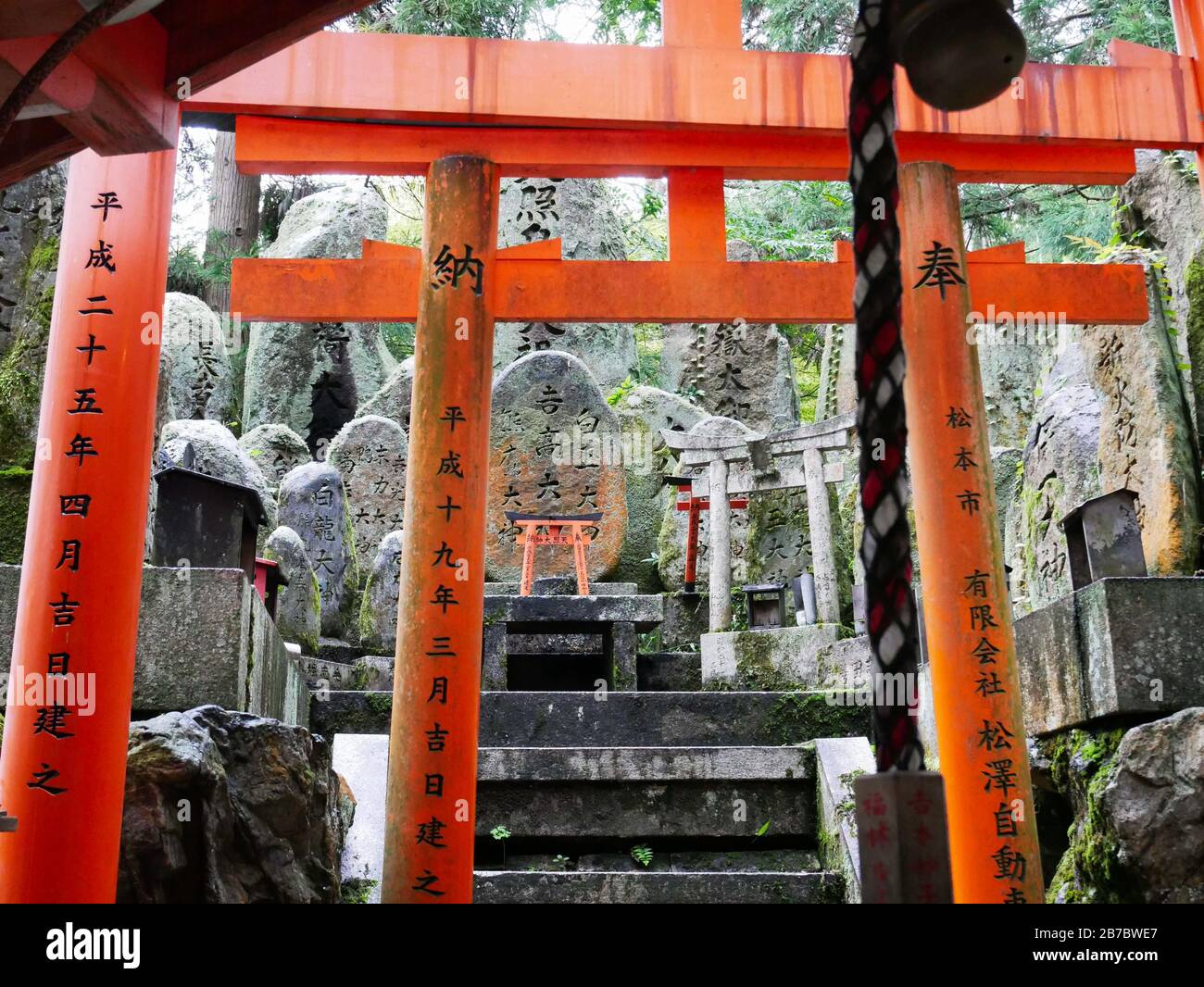 Red torii gate at Japanese temple Stock Photo - Alamy