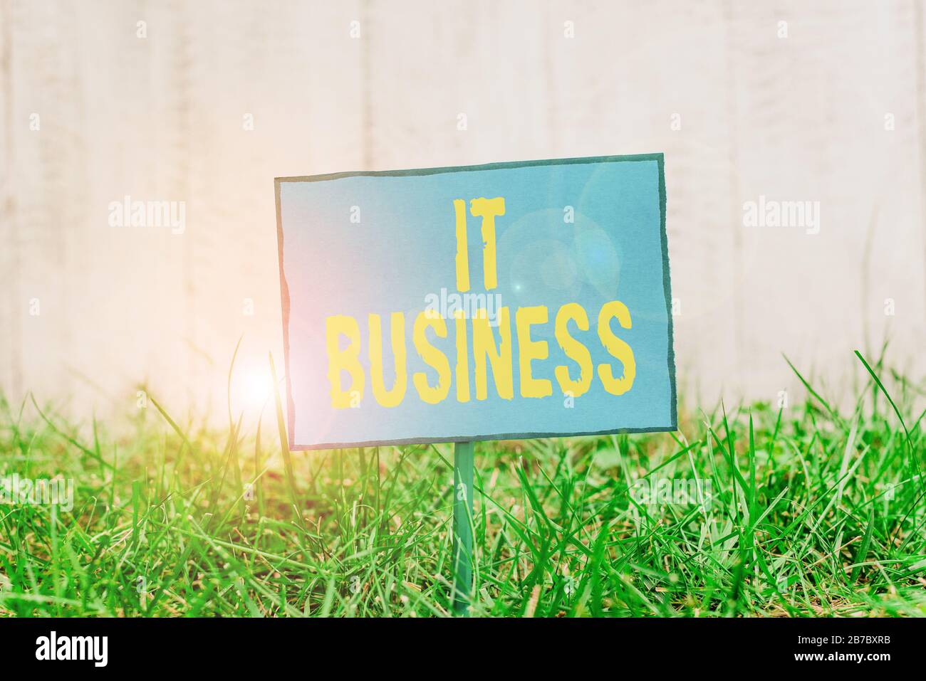 Conceptual hand writing showing It Business. Concept meaning ...