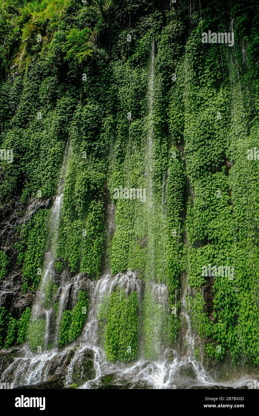 Beautiful and scenic view of Asik-asik Falls in Alamada, Cotabato ...