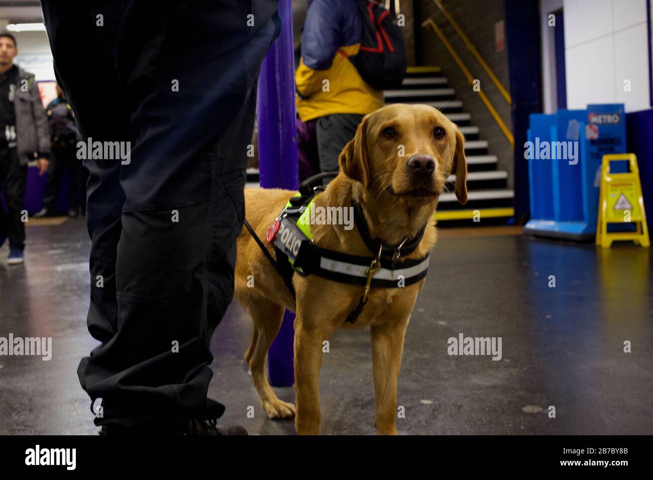 Crime transport hi-res stock photography and images - Alamy