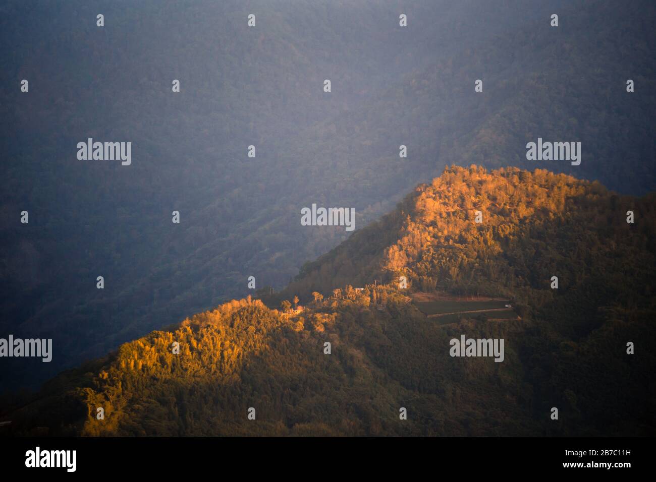 Alishan national scenic area taiwan hi-res stock photography and images ...