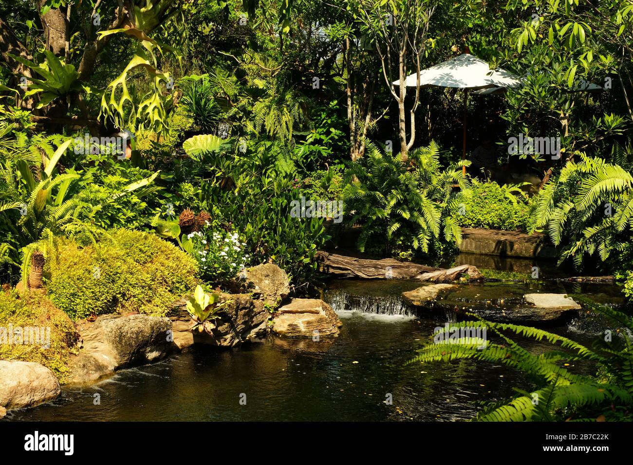 Green trees with waterfall and a pond Stock Photo - Alamy